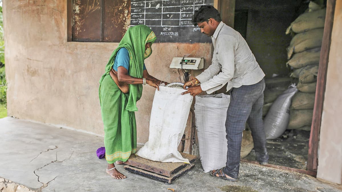 How Technology Can Revitalize the Public Distribution System (PDS)