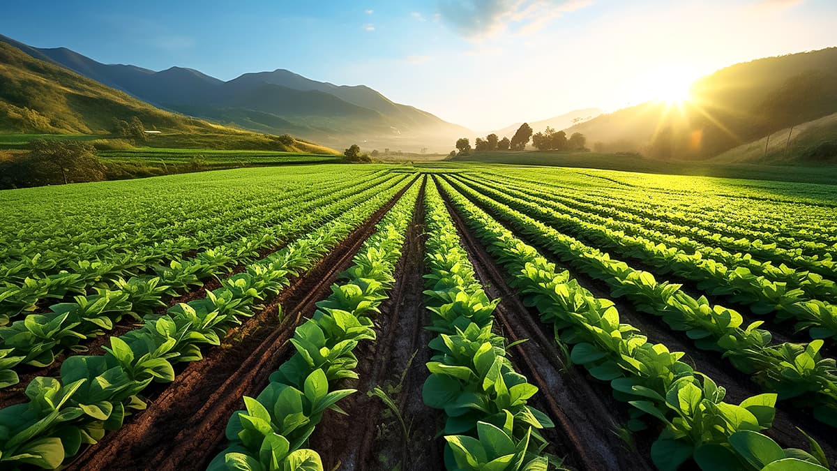 Sustainable Land Management System